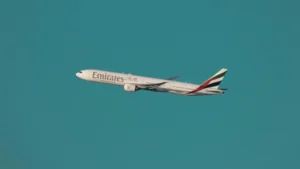 Planning & Preparation